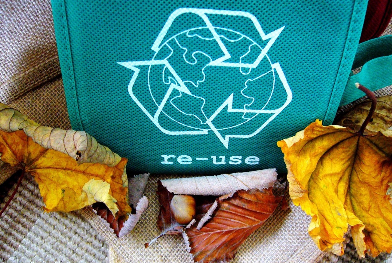 Mehr Transparenz für Recycling im Holzbau